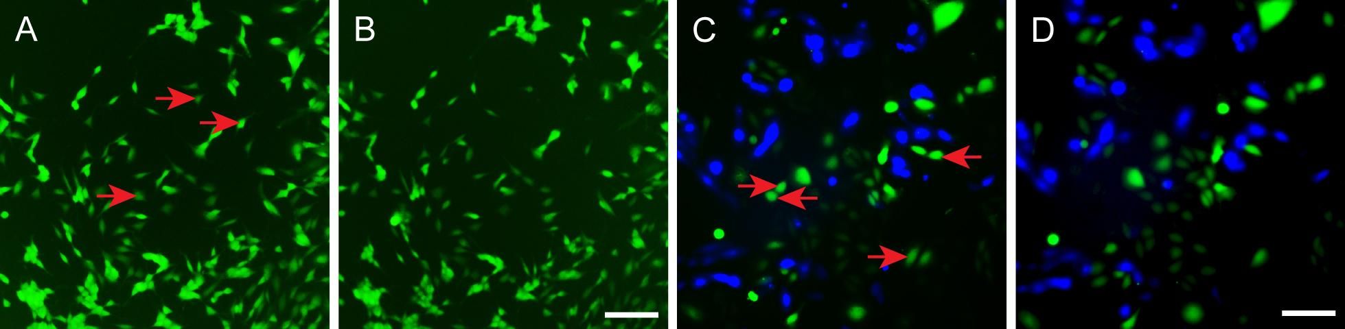 unipick单细胞采集和组织显微切割系统 | CoreAb|北京沫之东生物技术有限公司官网